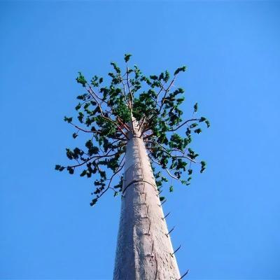 China 40M Bionic Tree Tower with artificial trunks branches and leaves made from high strength plastics and fiberglass materials for sale