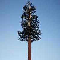 30M Bionic Tree Tower designed to replicate natural trees with durable ...