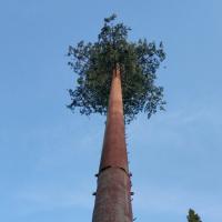China 36M Bionic Tree Tower featuring modular components and hidden cable management systems for clean and telecom equipment installation for sale