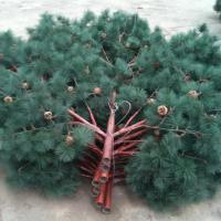 China 36M Bionic Tree Tower featuring modular components and hidden cable management systems for clean and telecom equipment installation for sale