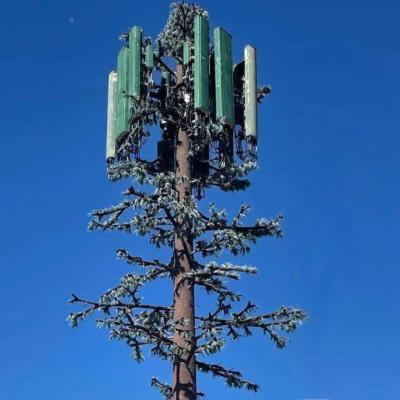 China Bionic Tree Tower modular design with customizable tree species and height supporting antenna mounts cable management and renewable energy harvesters for sale