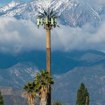 China Bionic Tree Tower customizable modular components for height and tree species to fit various landscape requirements for sale