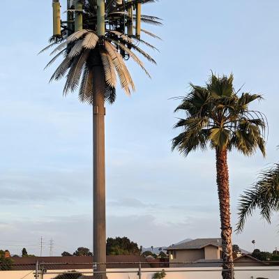 China Tree Shaped Cell Tower Anti Rust Alloy 35m Mobile Network Rural Areas Natural Appearance for sale