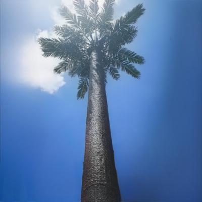 China Bionic Tree Tower artificial featuring design codes ANSI TIA 222 G H F and EN 1991 1 4 for structural safety for sale