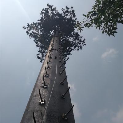China 18 27 35Meter Camouflaged Palm Tree Telecom Tower For Resort Hotel Landscape for sale