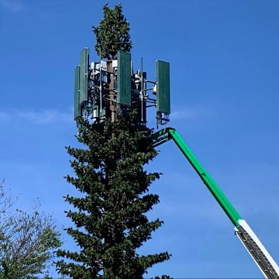 China Camouflaged Artificial Pine Tree Telecom Tower Bionic Steel Monopole Cell Tower for Environmental Aesthetic Landscape Communication Site with 120km/h Wind Resistance for sale