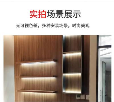 China Led Wardrobe Lights With Sensor Aluminum Wardrobe LED Light Strip With Adjustable Color Temperature for sale