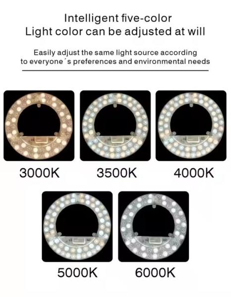 Quality ERP ETL Certified 24W Round LED Panel Light with Adjustable CCT for sale