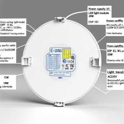 Cina ERP ETL Certified 24W Round LED Panel Light con CCT regolabile in vendita