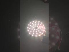 met een diameter van 200 mm,7.87 inch plafond ventilator lichtmoudel 30W, 36V