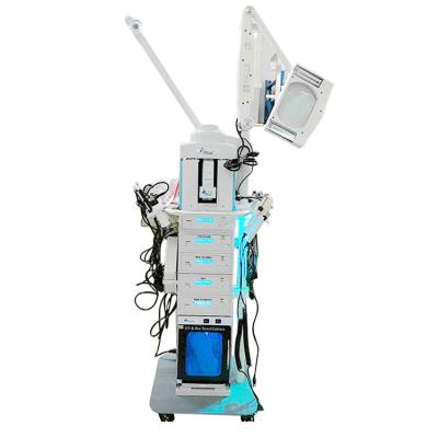 China Popular  Professional Skin Care Multifunction Facial Cleaning Beauty Machine 19 in 1 for sale