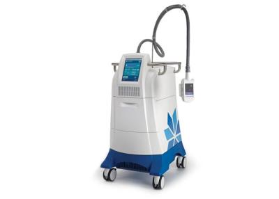 China Hot Sale In Europ Cool Sculpting Cool Sculpture Professional Slimming Machine 4 Cryoprobes with Diffrerent Size for sale