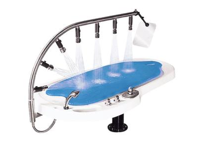 China Hydrotherapy Vichy Shower 7 heads Seven Water Jets Water Massage Bed for sale