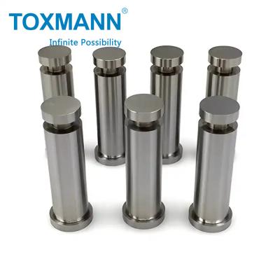 China Punch personalizado HSS estampagem matas peças M2 punch DIN9861 D punch padrão à venda