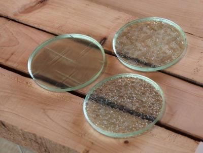 China Various Model Patterned Glass 4mm 5mm 6mm Colored Frosted Glass For Windows for sale