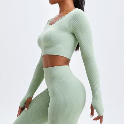 Cina Set da yoga femminile estensibile Abbigliamento Leggings con top corto a costine da corsa senza cuciture in vendita