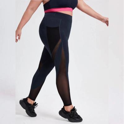 Cina Pantaloni Mesh Breathable With Pockets di yoga di Waisted di dimensione più di allenamento alti in vendita