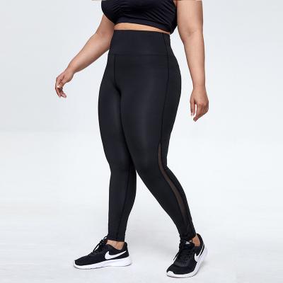 Cina Dimensione 4XL più l'umidità Wicking Mesh Breathable di Colorfast dei pantaloni di yoga di dimensione in vendita