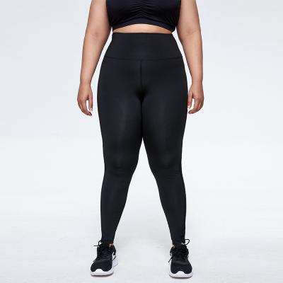 Cina Dimensione 4XL più l'umidità Wicking Mesh Breathable di Colorfast dei pantaloni di yoga di dimensione in vendita