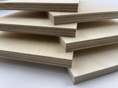 Cina Vendita calda E0 Legno compensato di betulla baltica 6mm 9mm 12mm 15mm 18mm 24mm Full Birch Commercial Plywood Sheet 1200*2400mm in vendita