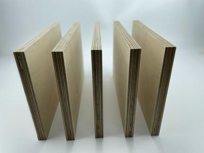 Cina Vendita calda E0 Legno compensato di betulla baltica 6mm 9mm 12mm 15mm 18mm 24mm Full Birch Commercial Plywood Sheet 1200*2400mm in vendita
