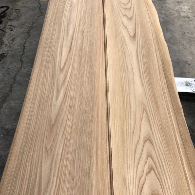 Cina Veneer di legno di olmo naturale 0.2mm 0.3mm 0.5mm 1mm 2mm 3mm Granella di montagna Flat Cut Elm Veneers Legno in vendita