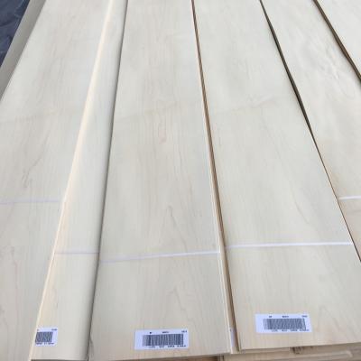 Cina Veneer di legno di acero Veneer naturale Fogli di legno di acero Veneer decorativi in legno di acero per skateboard in vendita