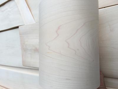 Cina Ingrosso di alluminio di legno naturale a misura di 0,45 mm alluminio di acero canadese per skateboard in vendita
