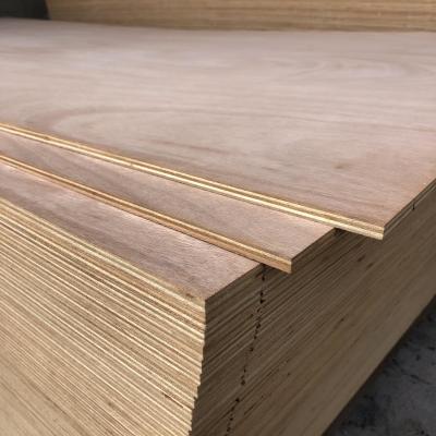Cina Pannelli impiallacciati in legno di pioppo per armadi antimuffa inodori in vendita