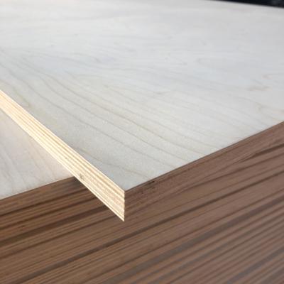 Cina Robusto compensato di legno duro pratico, fogli di impiallacciatura in legno multiuso in vendita