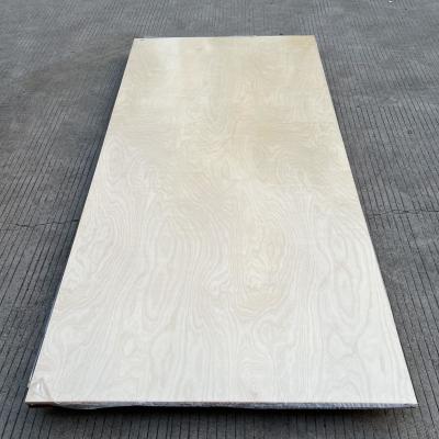Cina Robusto compensato di legno duro pratico, fogli di impiallacciatura in legno multiuso in vendita