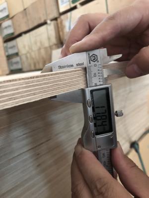 Cina Pannelli impiallacciati in legno di pioppo per armadi antimuffa inodori in vendita