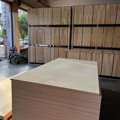 Cina Pannelli impiallacciati in legno di pioppo per armadi antimuffa inodori in vendita