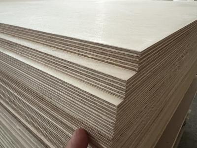 Cina Pannelli impiallacciati in legno di pioppo per armadi antimuffa inodori in vendita