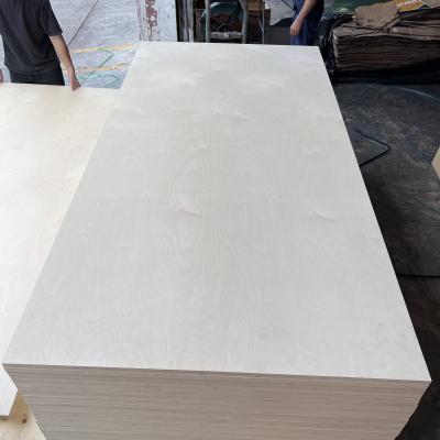 Cina Compensato rivestito in legno duro antimuffa per mobili resistente ai raggi UV in vendita