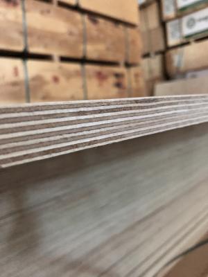 Cina Compensato rivestito in legno duro antimuffa per mobili resistente ai raggi UV in vendita
