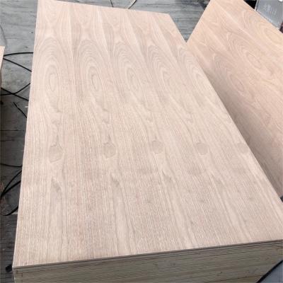 China Factory Price Black Walnut Veneer Cabinet Wardrobe Wooden Door Wall Panel Decorative Panel for sale