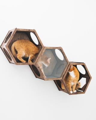 Cina Mobilia moderna Cat Wall Shelf 50lb dell'animale domestico di esagono che sopporta la struttura di Cat Cave Bed Cat Climbing in vendita