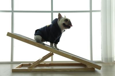 China 100 Ponden van de Huisdieren de Regelbare Hond Hellingszoopollo die Draagbare het Bedhelling van Hondtreden voor Honden vouwen Te koop