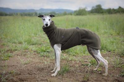 Cina Macchina impermeabile antivento del vestito del cappotto del cane del vello dell'OEM lavabile in vendita