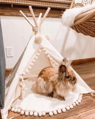 China Natuurlijk Katoenen Konijn Bunny House Diy Bunny Teepee met Pom Pom Pad Te koop