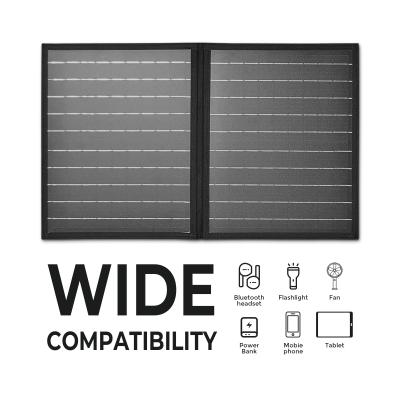 Cina Pannello solare da 30 Watt per campeggio e picnic in vendita