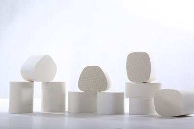 Cina Il favo ceramico/catalizzatore sostiene il bianco per lo scarico del veicolo in vendita