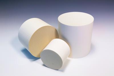 China Oval Honeycomb Ceramic Carrier White For Exhaust Gas Purification for sale