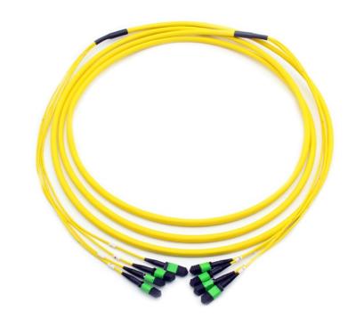 China 4*8F 4*12F 4*24F MPO/APC Patch Cord MTP/APC Single Mode Trunk Cable Type A Type B Type C Polarity for sale
