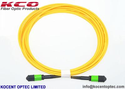 China 8cores 12cores 24cores MPO MTP Optic Fiber Patch Cord SM 9/125 Single Mode LSZH Type A / B / C for sale