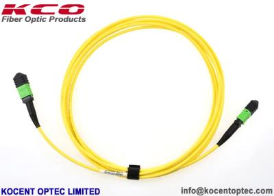 China 8cores 12cores 24cores MPO MTP Optic Fiber Patch Cord SM 9/125 Single Mode LSZH Type A / B / C for sale