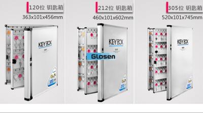 Cina Chiave a tubo a prova di fuoco di sicurezza di grande capacità/Governo di stoccaggio chiave decorativo in vendita