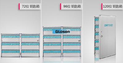 Cina Sicurezza di alluminio dello SGS che appende chiave a tubo esterna per la gestione di chiavi in vendita