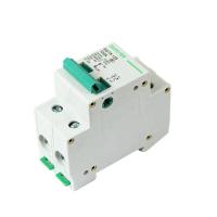 China Isolation Switch SGT8-125 Thermosetting MCB Circuit Breakers for sale